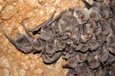 P. Jakopin, Tunisia 2004, images